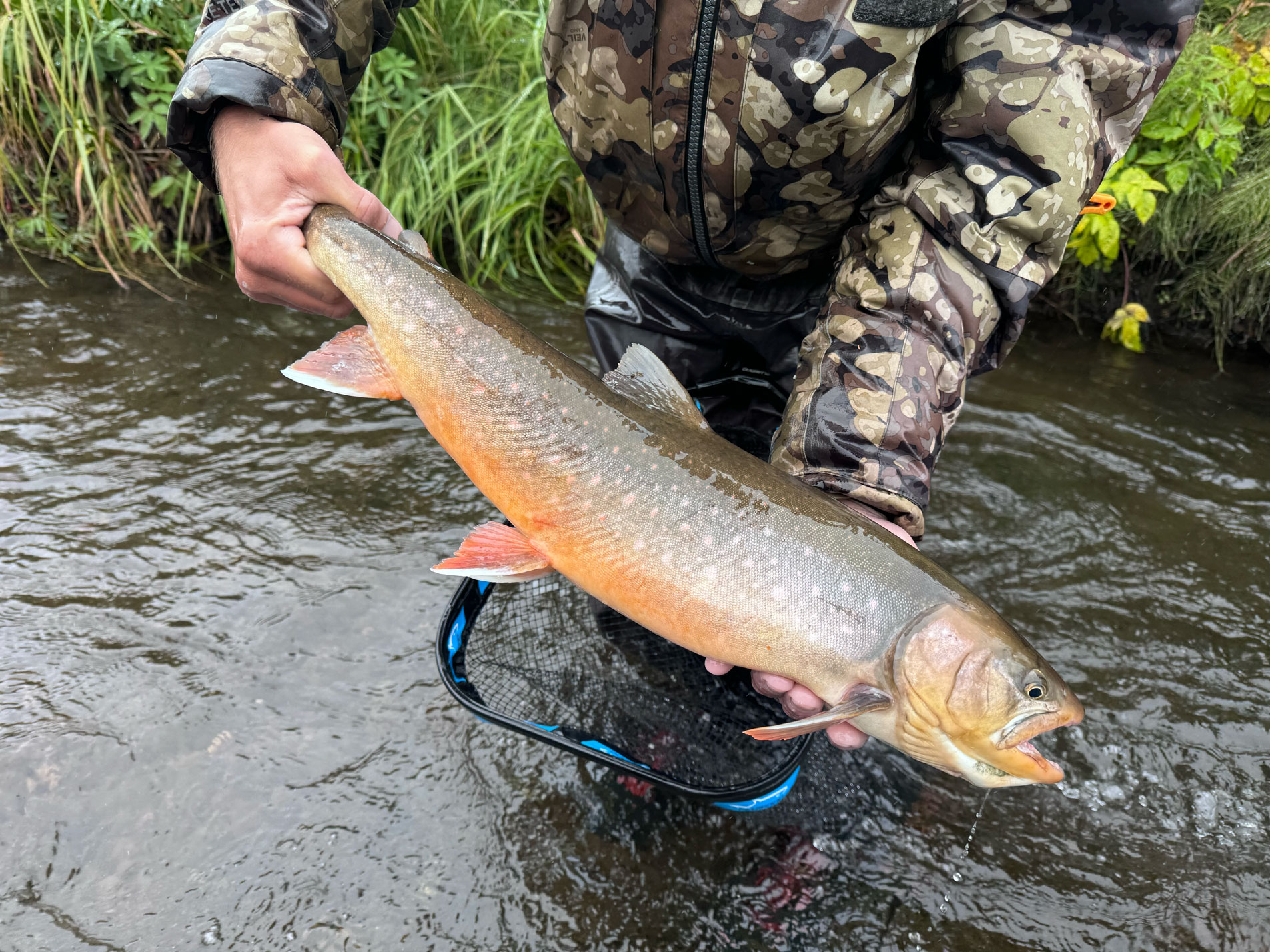 Fish Species - Alaska’s Bearclaw Lodge
